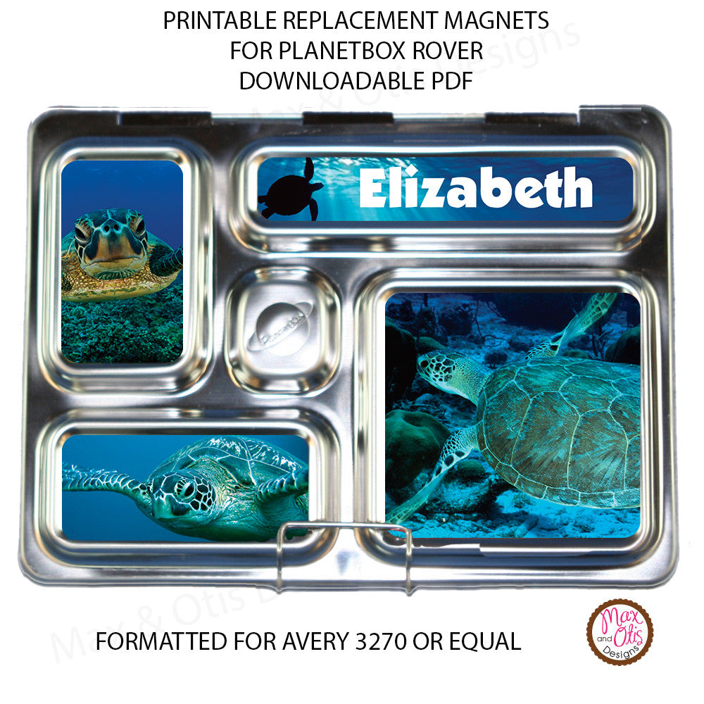 PlanetBox Rover Personalized Magnets - Sea Turtles (Editable PDF) – Max ...